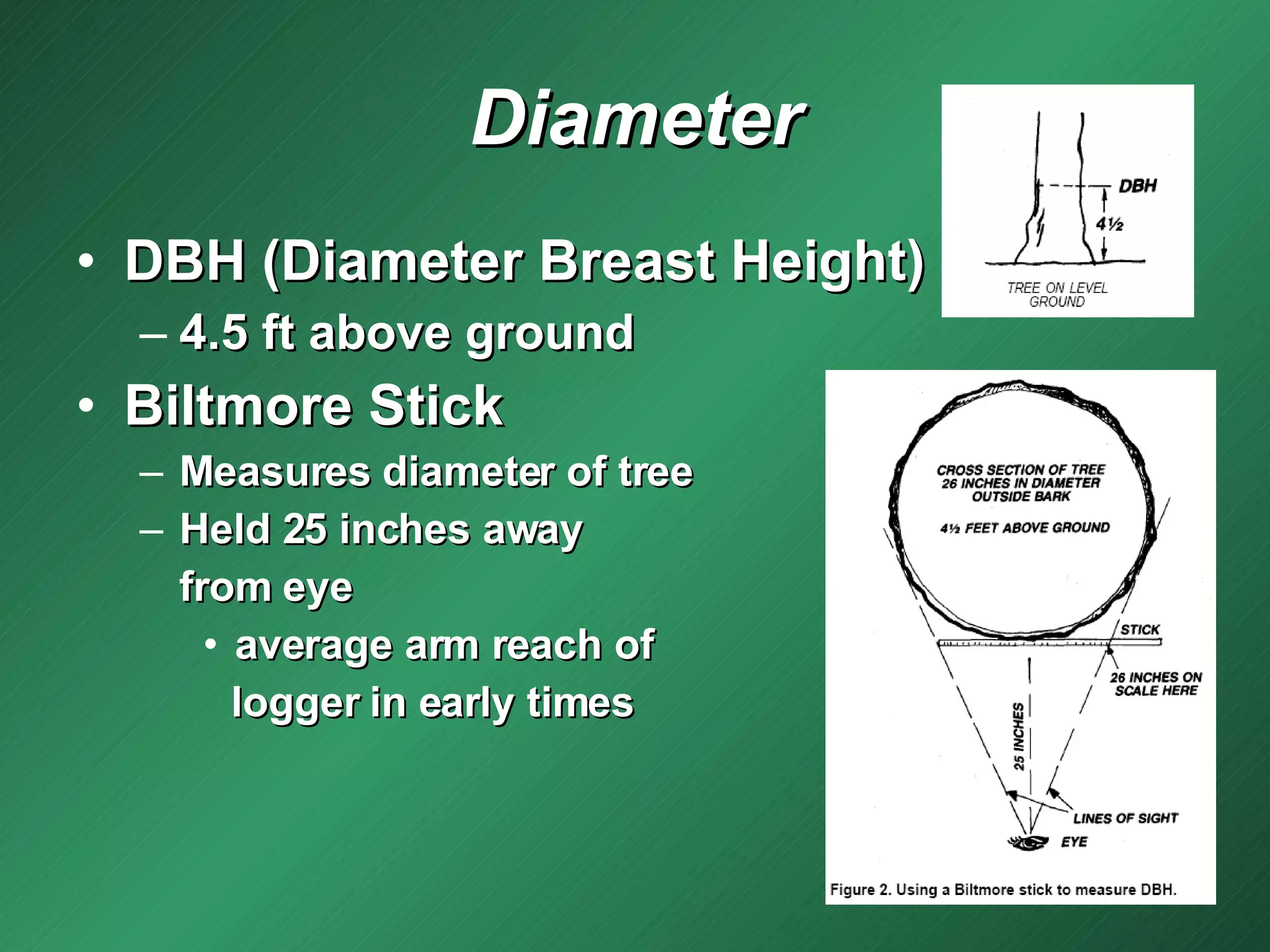 Forestry Measurements | PPT