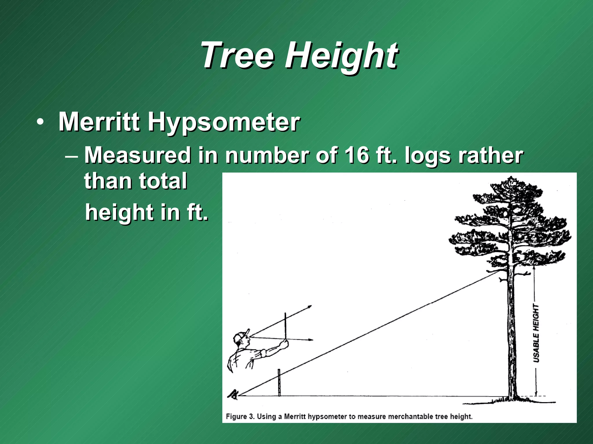 Forestry Measurements | PPT