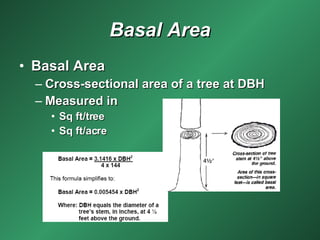 Forestry Measurements | PPT