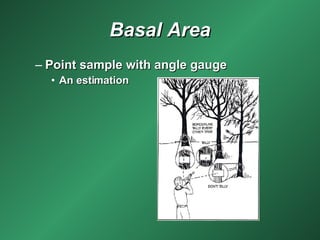Forestry Measurements | PPT