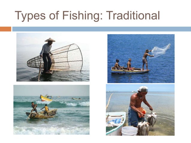 Primary Sector: Forestry and Fishing | PPT | Free Download