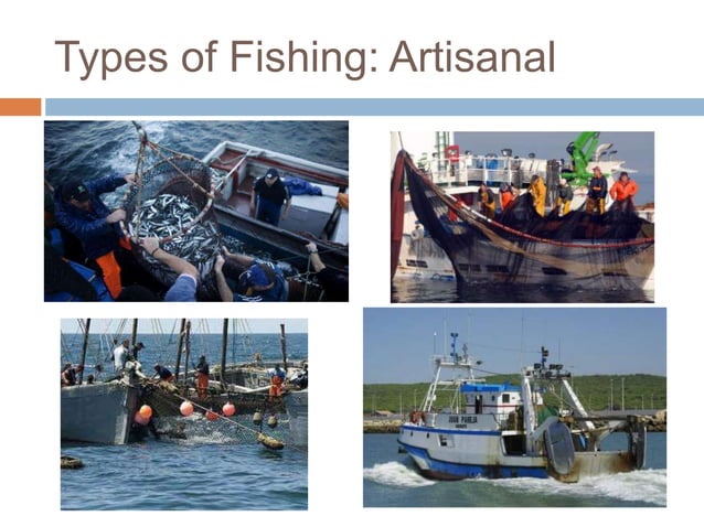 Primary Sector: Forestry and Fishing | PPT | Free Download