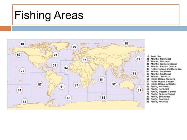 Primary Sector: Forestry and Fishing | PPT