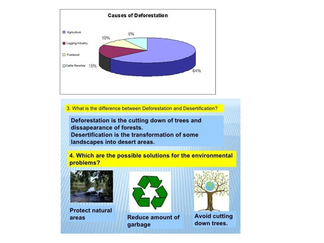 Primary Sector: Forestry and Fishing | PPT | Free Download