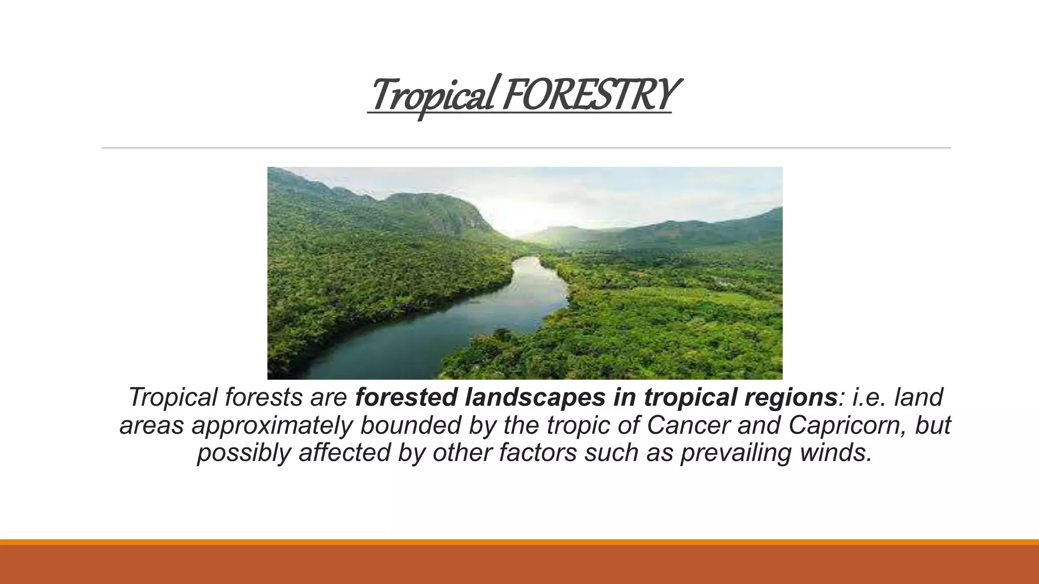 Forestry And Wild Life.pptx