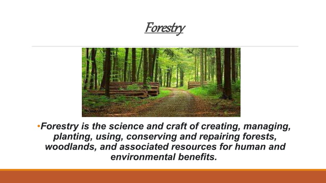 Forestry And Wild Life.pptx