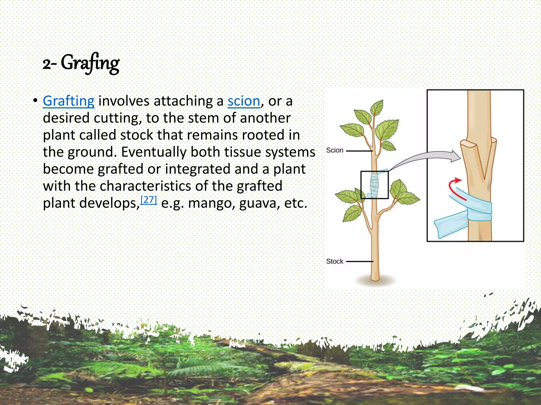 introduction to Forestry | PPTX