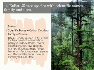 introduction to Forestry | PPT | Free Download