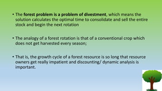 Forestry economics ppt | PPTX