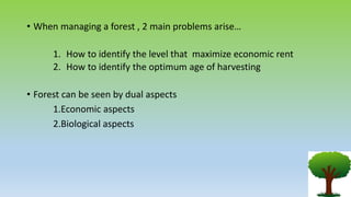 Forestry economics ppt | PPTX