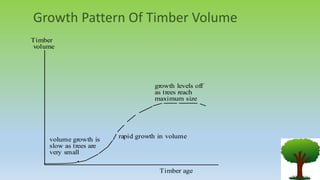 Forestry economics ppt | PPTX