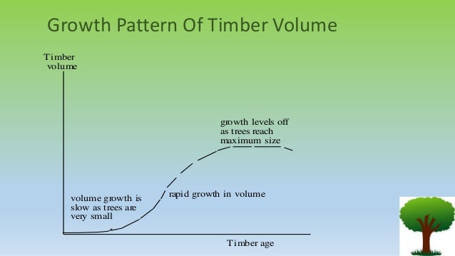 Forestry economics ppt