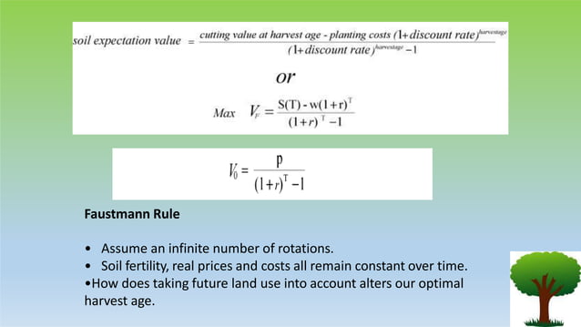 forestryeconomicsppt priya dharsan.pptx