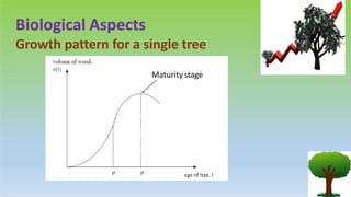 forestryeconomicsppt priya dharsan.pptx