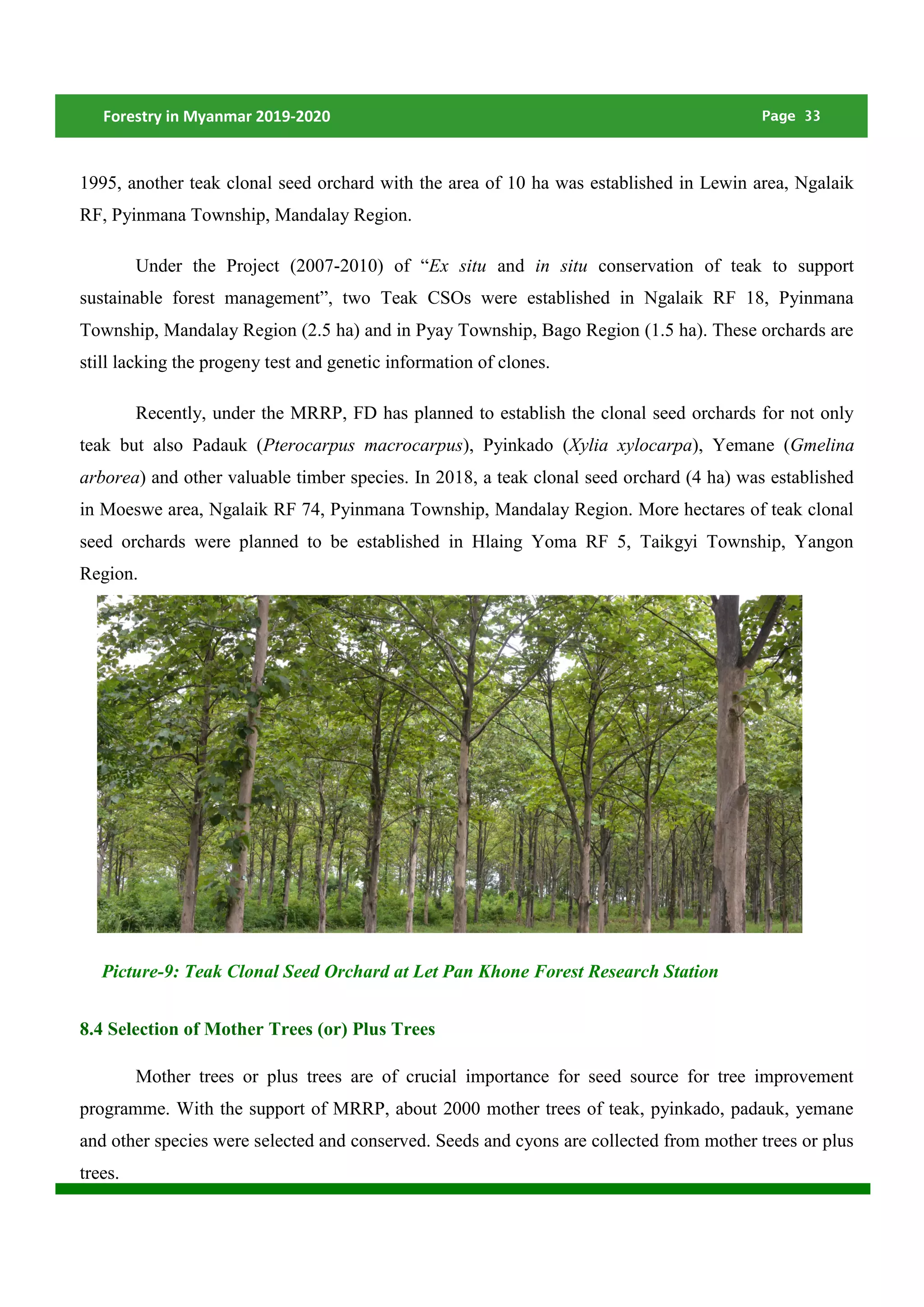 Forestry_in_Myanmar_2020_0 (2).pdf