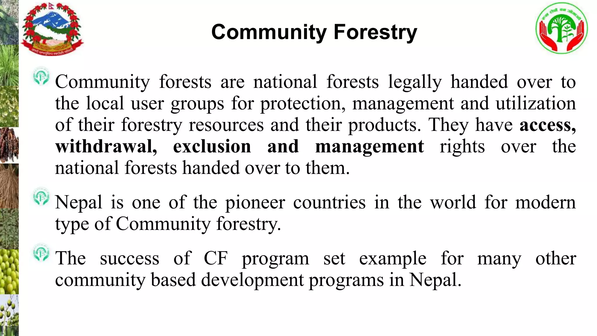 Forestry in Nepal.pptx