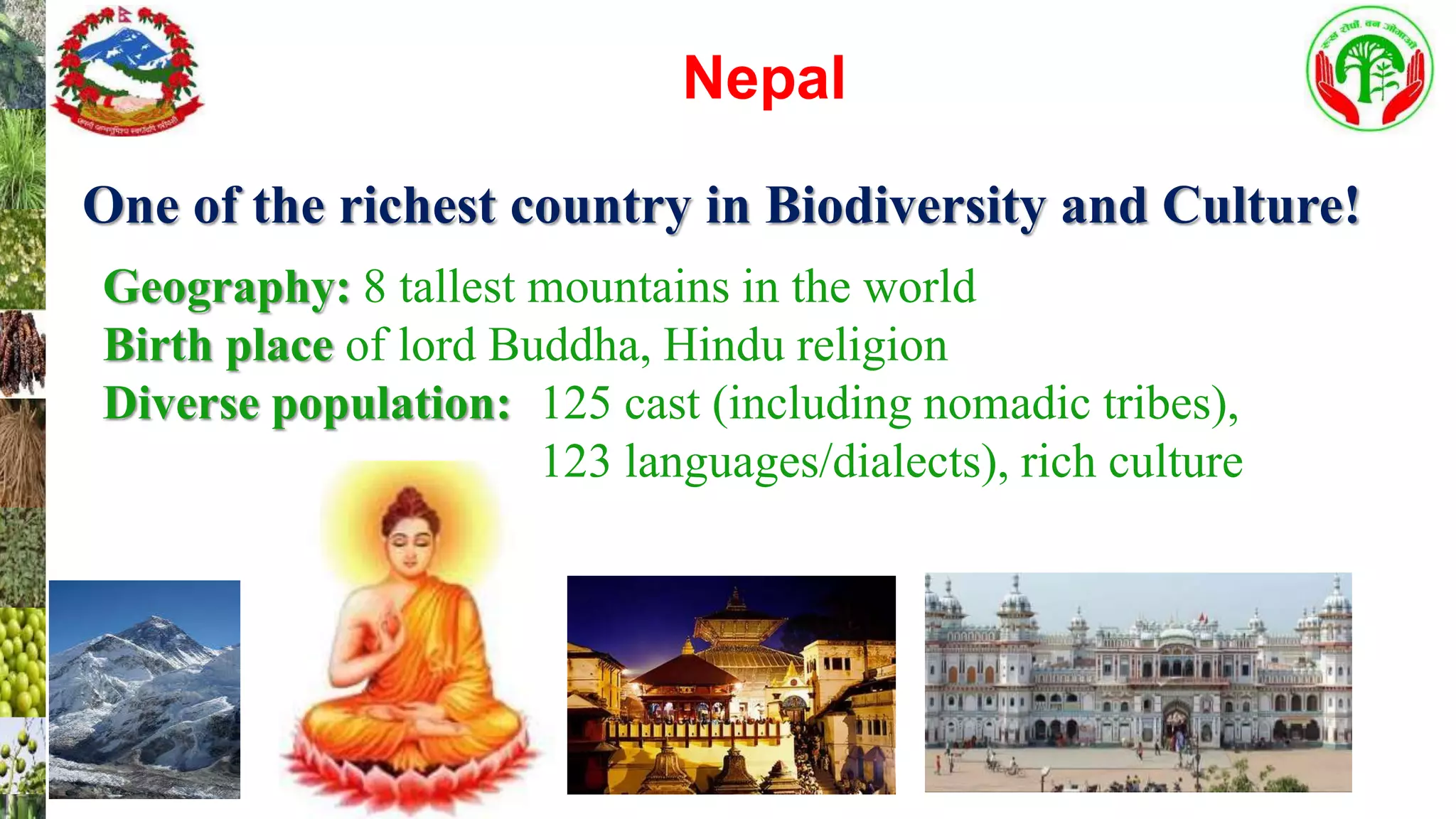 Forestry in Nepal.pptx