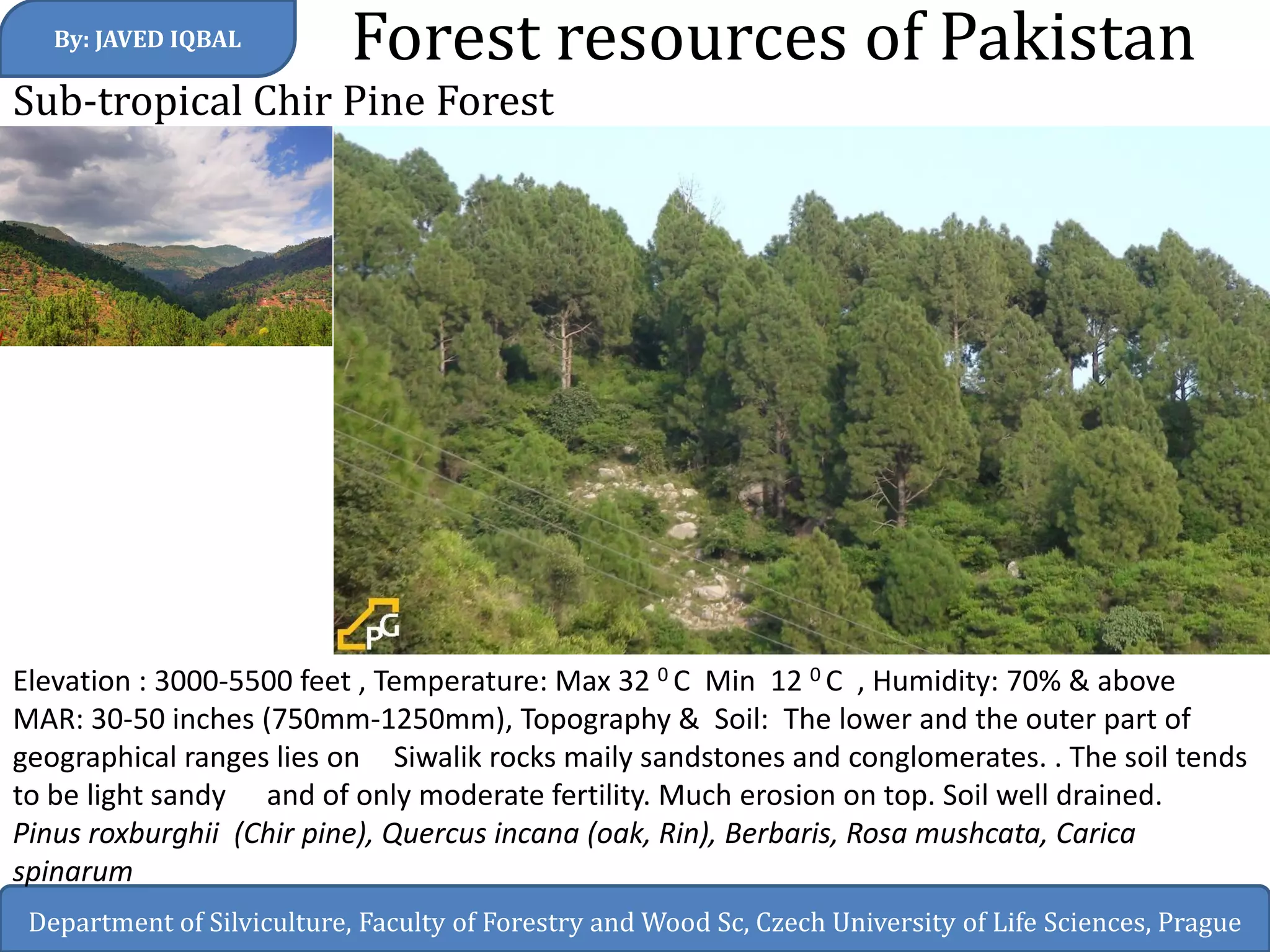 Forestry in Pakistan | PDF