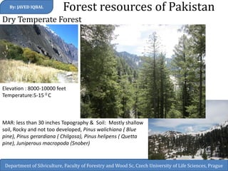 Forestry in Pakistan | PDF