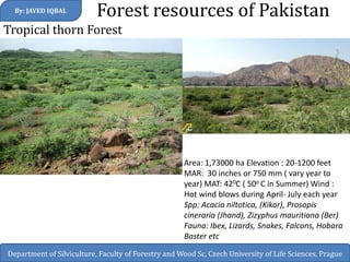 Forestry in Pakistan | PDF
