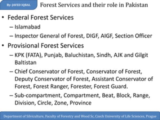 Forestry in Pakistan | PDF