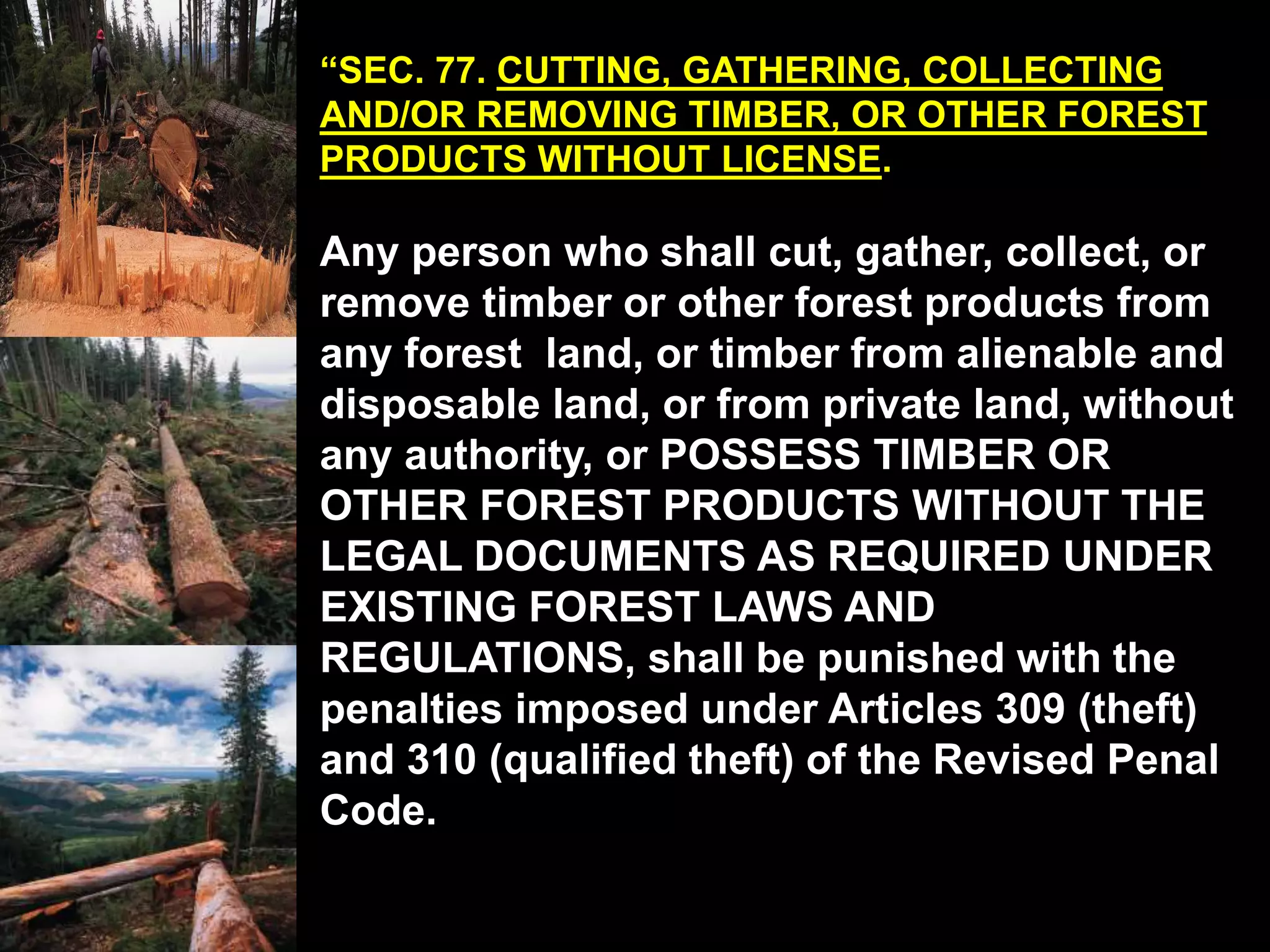 Forestry Laws-Lecture.ppt