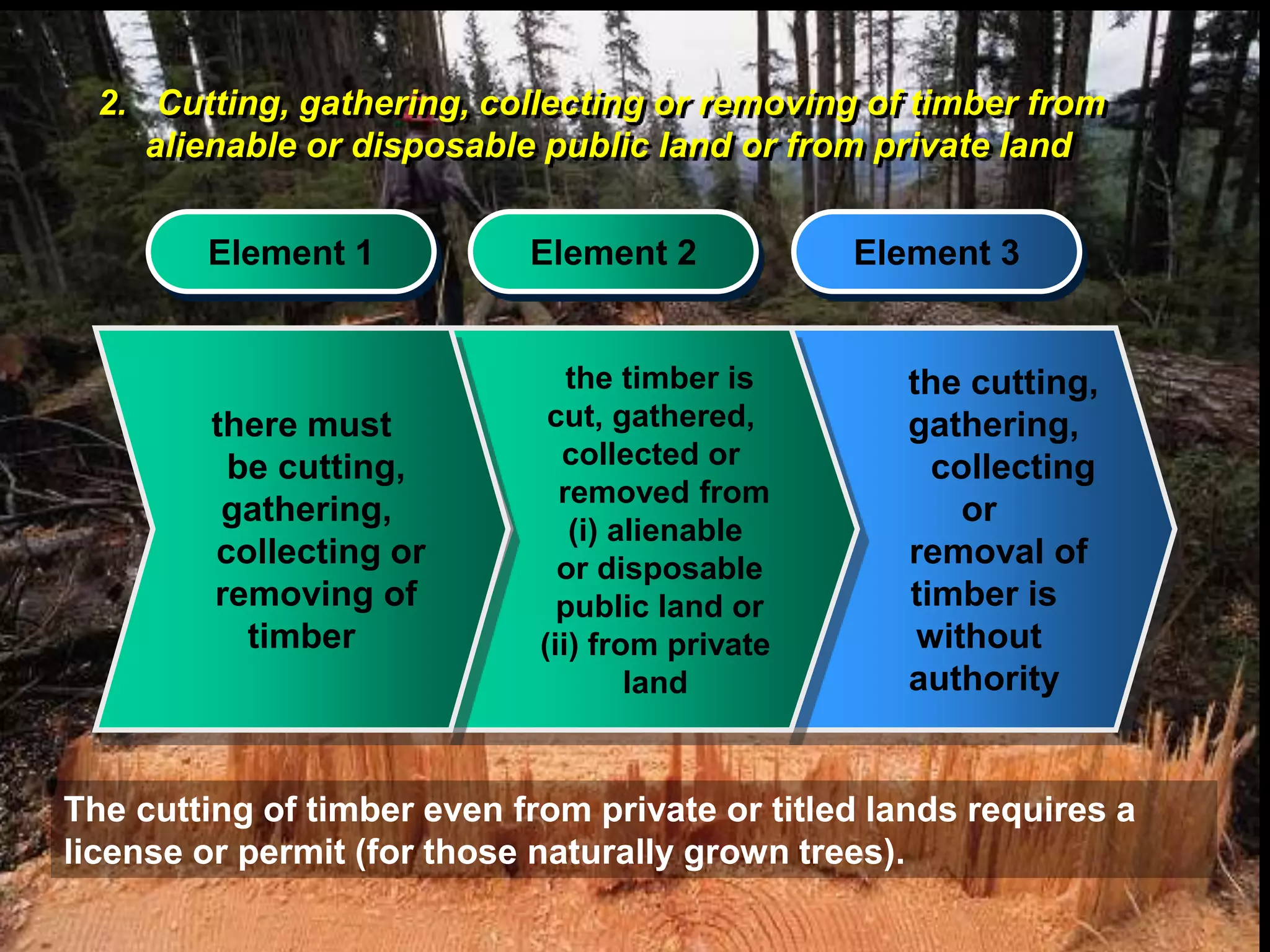 Forestry Laws-Lecture.ppt