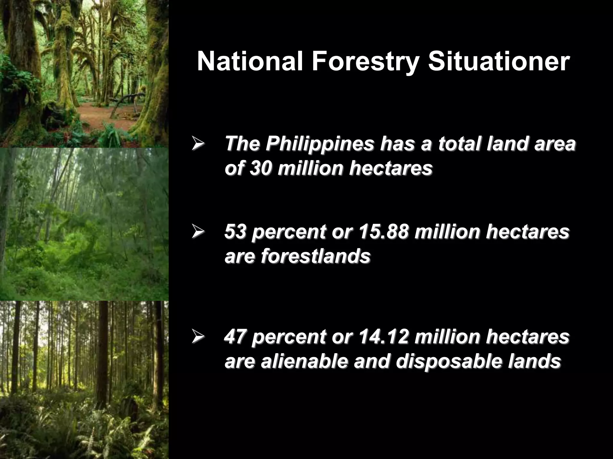 Forestry Laws-Lecture.ppt