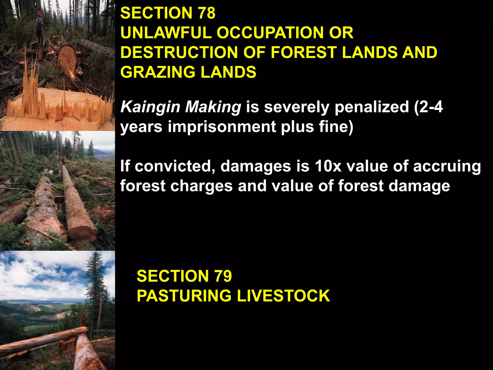 Forestry Laws-Lecture.ppt