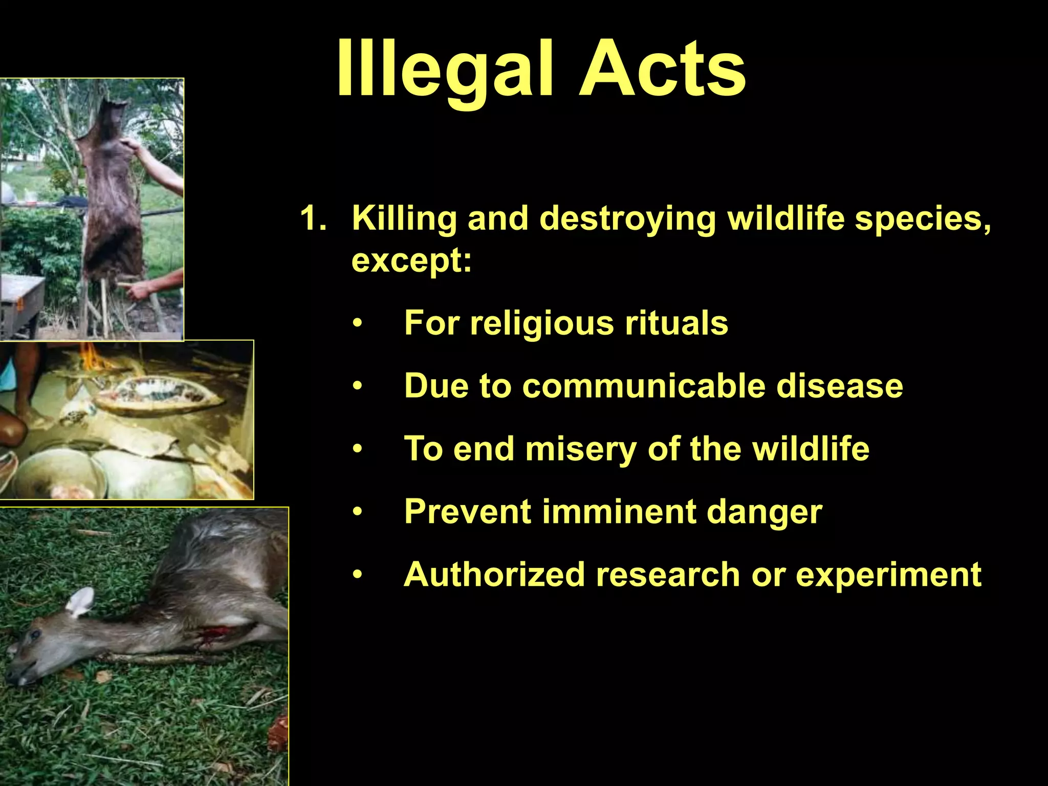 Forestry Laws-Lecture.ppt