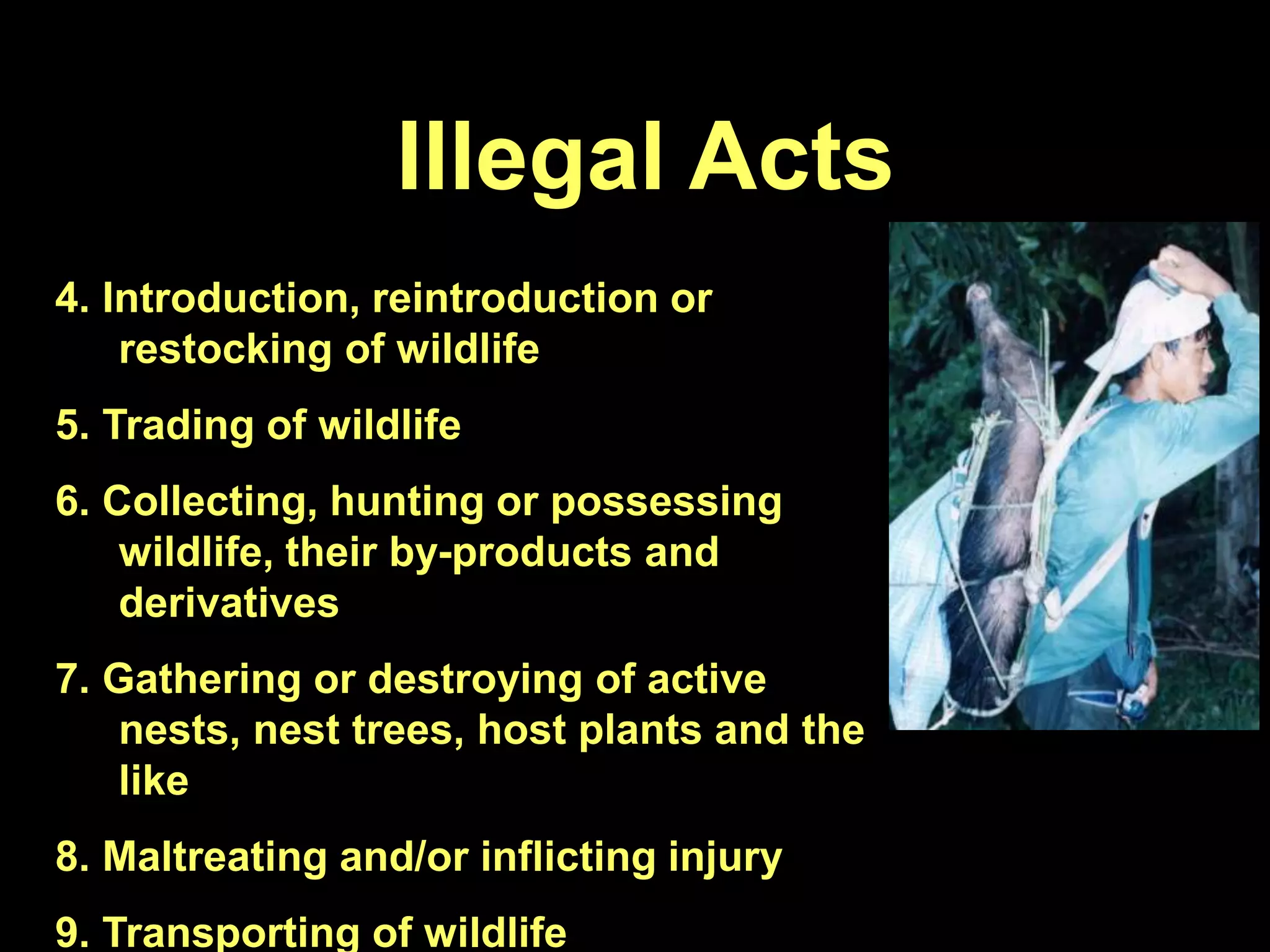Forestry Laws-Lecture.ppt