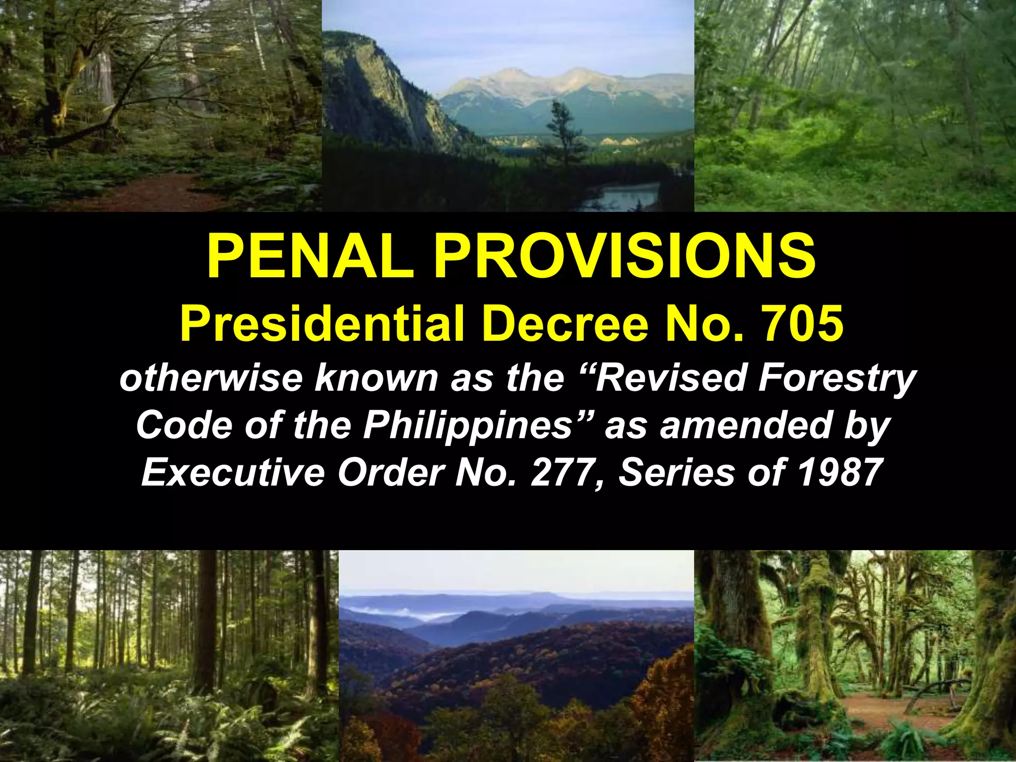 Forestry Laws-Lecture.ppt