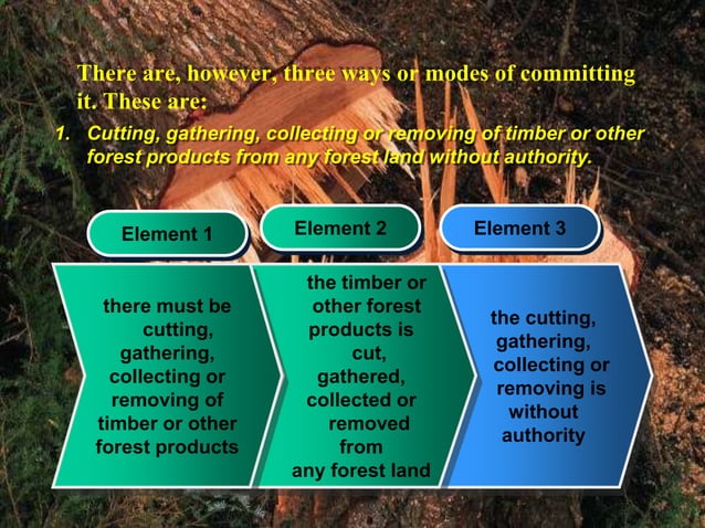 Forestry Laws-Lecture.ppt