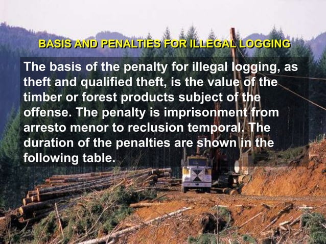 Forestry Laws-Lecture.ppt