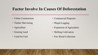 Causes, Effect And Consequences Of Deforestation | PPTX