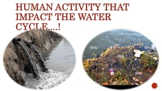 Hydrological Cycle | PPTX