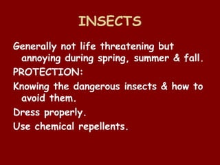 Forestry safety | PPT