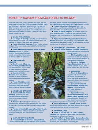 Forestry tourism | PDF | Parks | Attractions