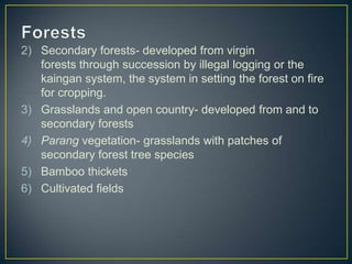 Forests | PPTX