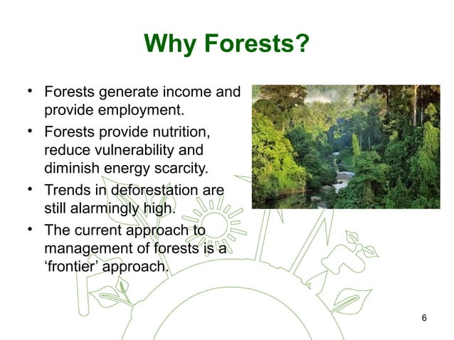 Forests | PPT