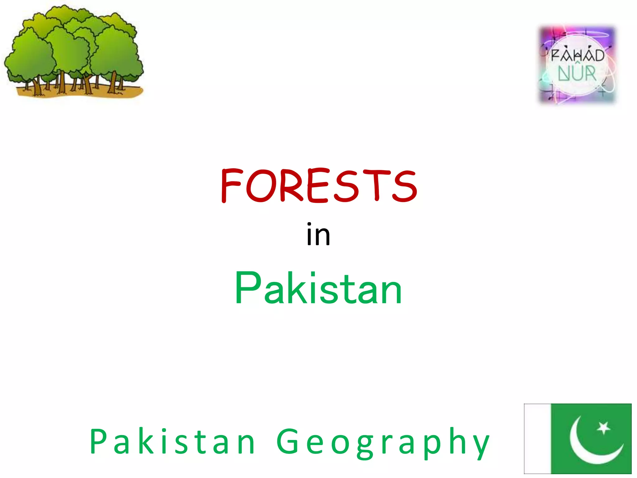 Pakistan Geography - Forest In Pakistan - Pakistan Location | PPTX