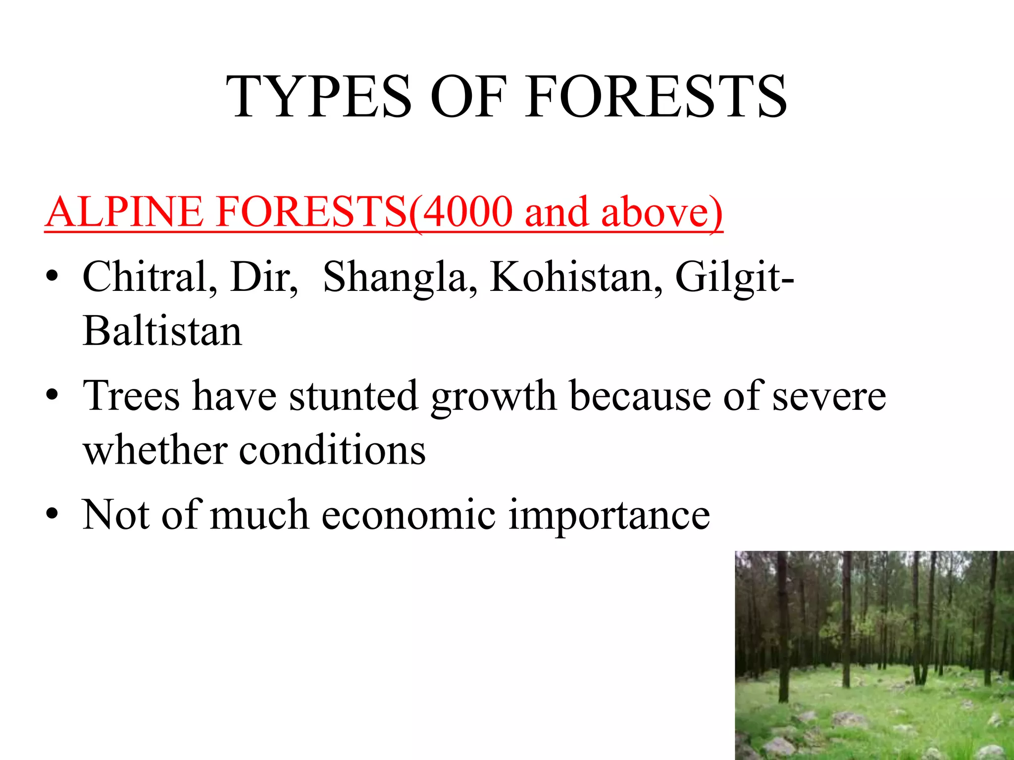 Pakistan Geography - Forest In Pakistan - Pakistan Location | PPTX