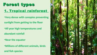 Forests | PPT