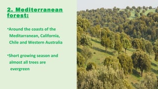 Forests | PPT