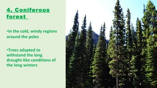 Forests | PPT