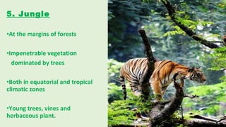 Forests | PPT