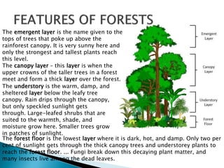 Forests | PPTX