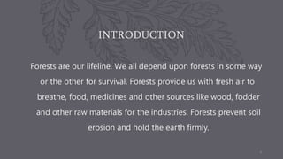 forests | PPTX