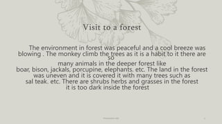 forests | PPTX