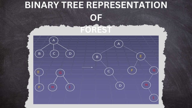 Forests in data structures and algorithms .pptx